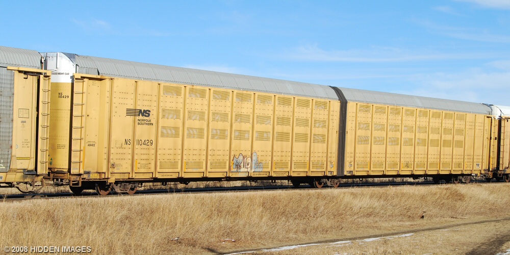 NS 110429 - Freight Car Photos - Hiddenimages.ca